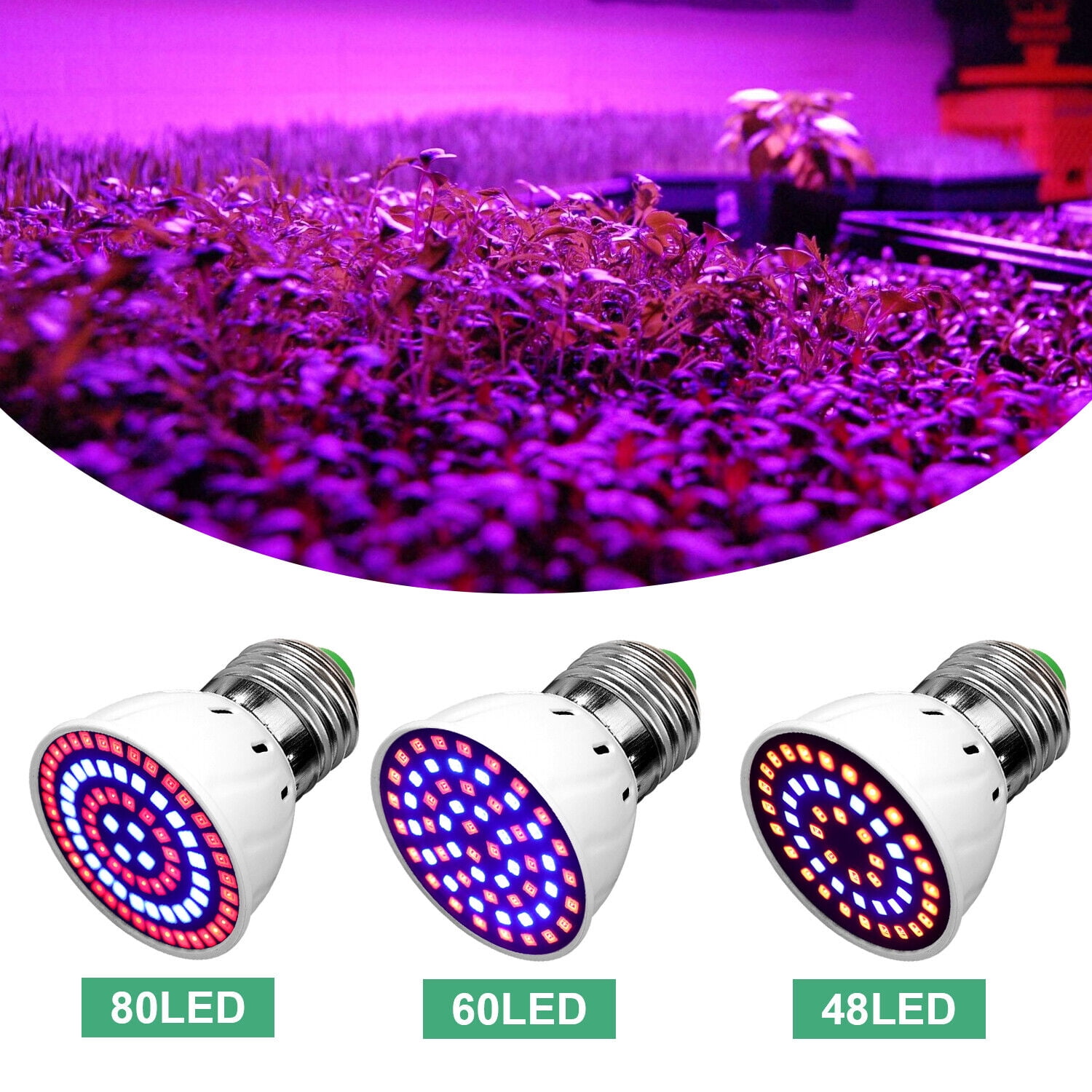 Innens Plant Grow Lights E27 Lamp for Plants Flower Seedling 48 60 80 ...