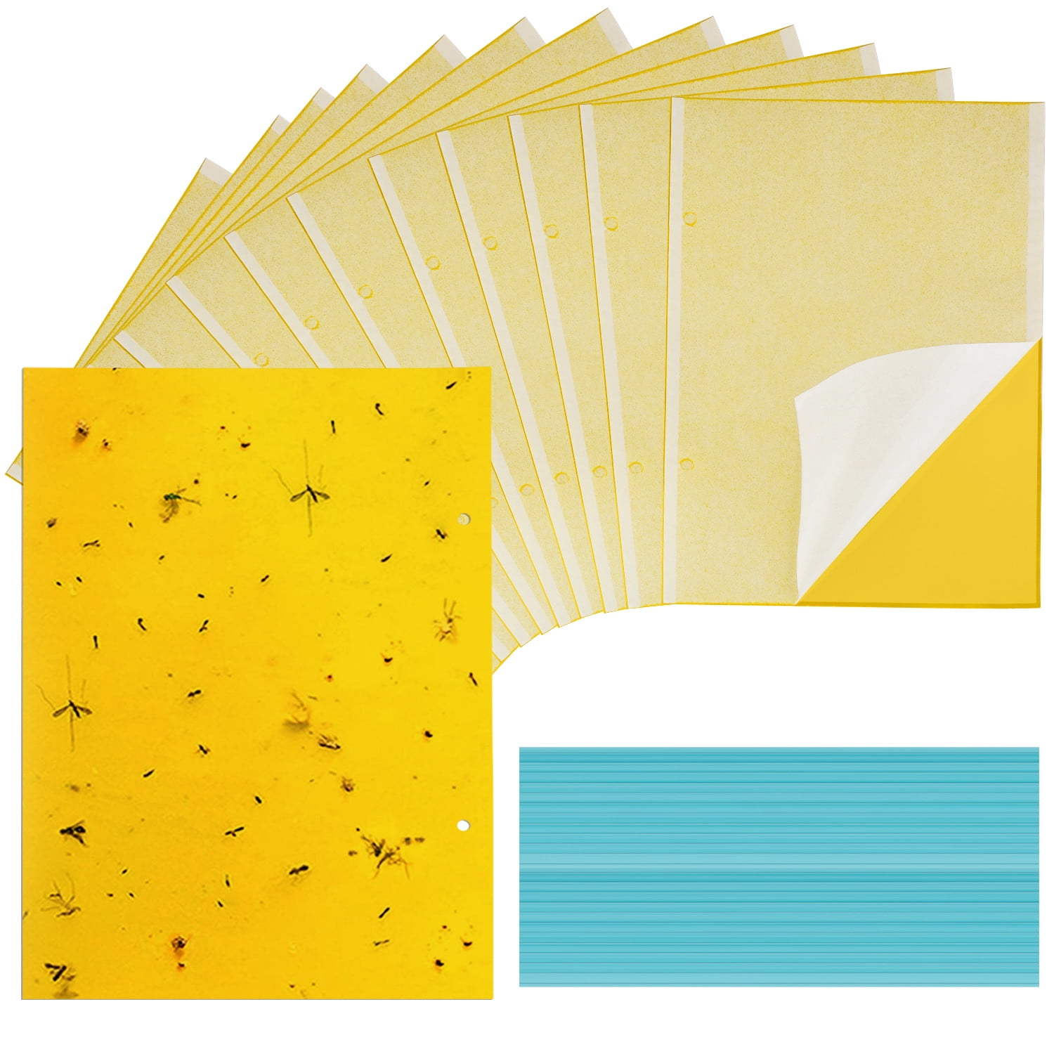 Innens Sticky Fruit Fly Traps with Hanging Rope Non-Toxic Odorless ...