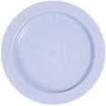 Inner lip plate, plastic, blue , 9" - Walmart.com