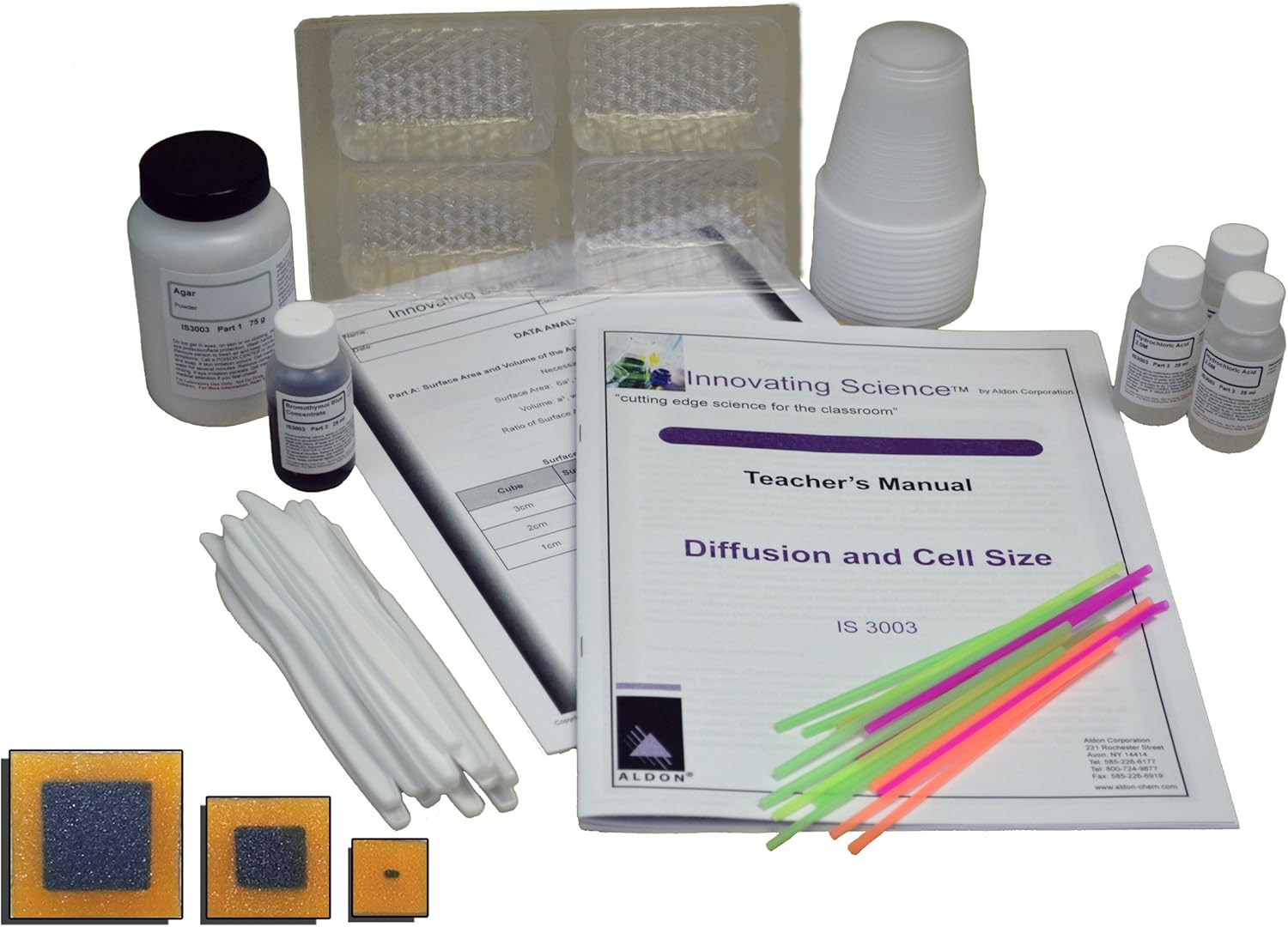 Innovating Science - Diffusion and Cell Size Activity Kit - Walmart.com