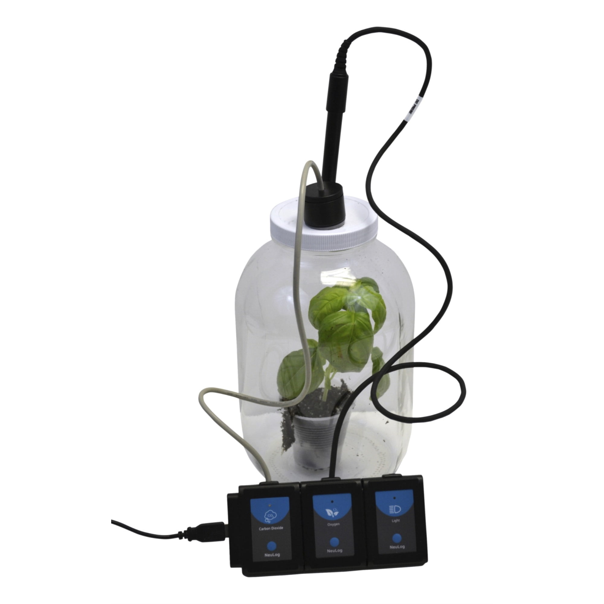Innovating Science Photosynthesis and Respiration Chamber - Walmart.com