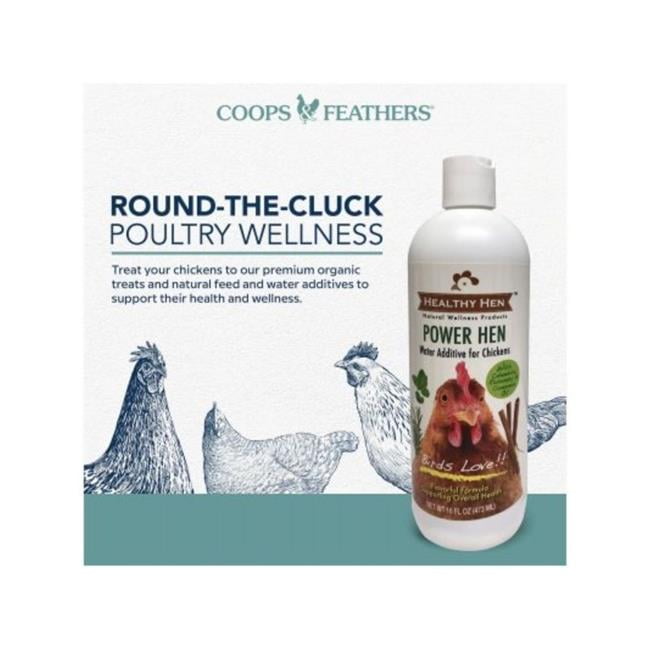 Innovation Pet 248764 16 oz Healthy Hen Poultry Water Additive ...