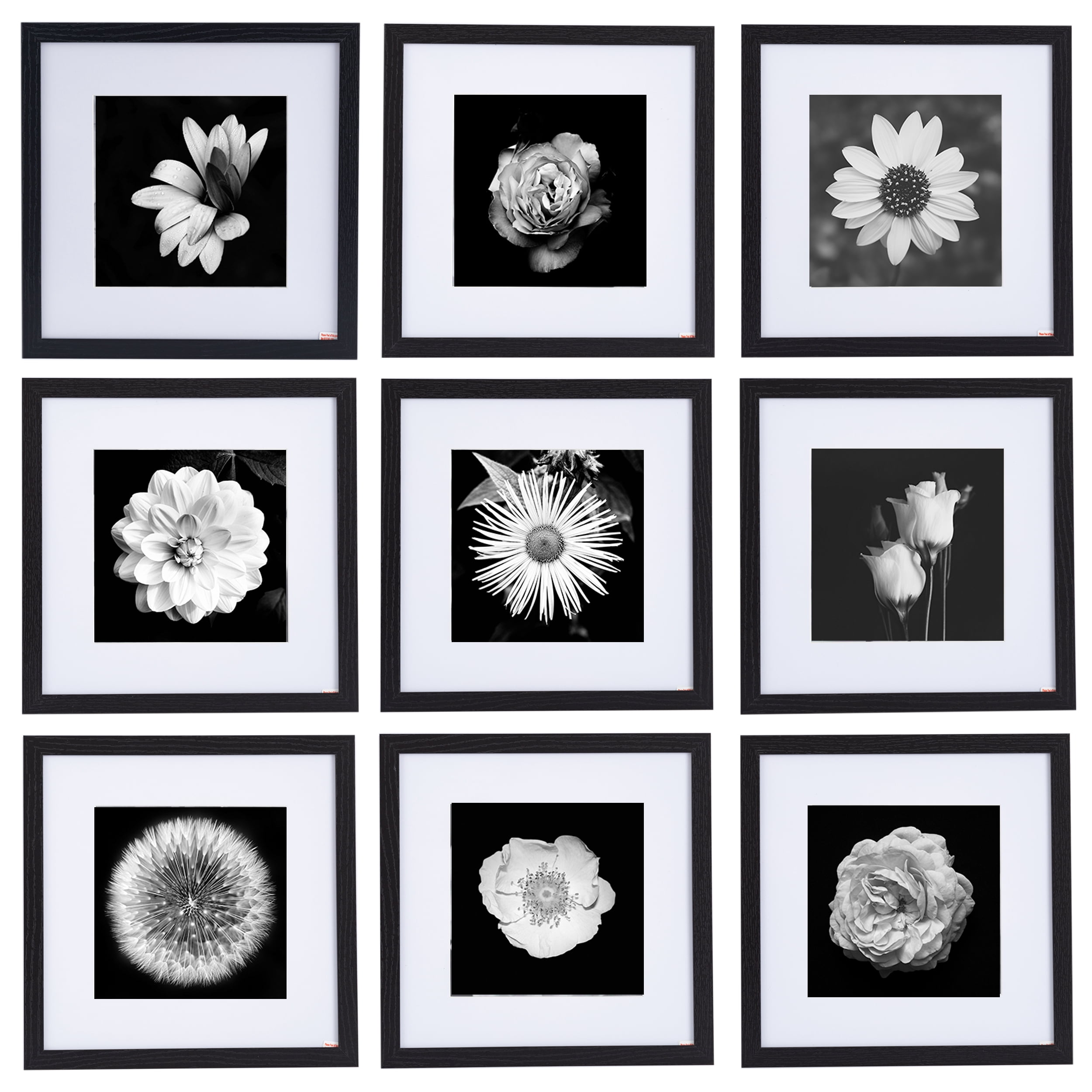 Innovative Haus 12x12 Picture Frame Set of 9 in Black. Display Pictures ...