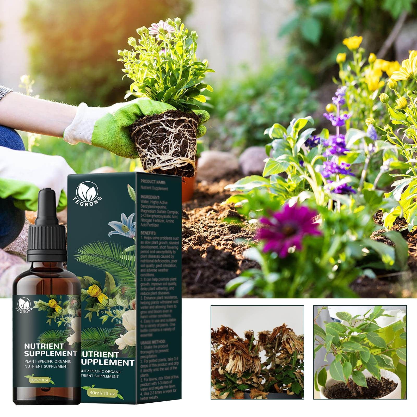 InsCrazy Plant Nutritional Supplement Nutritional Supplement for Plants ...