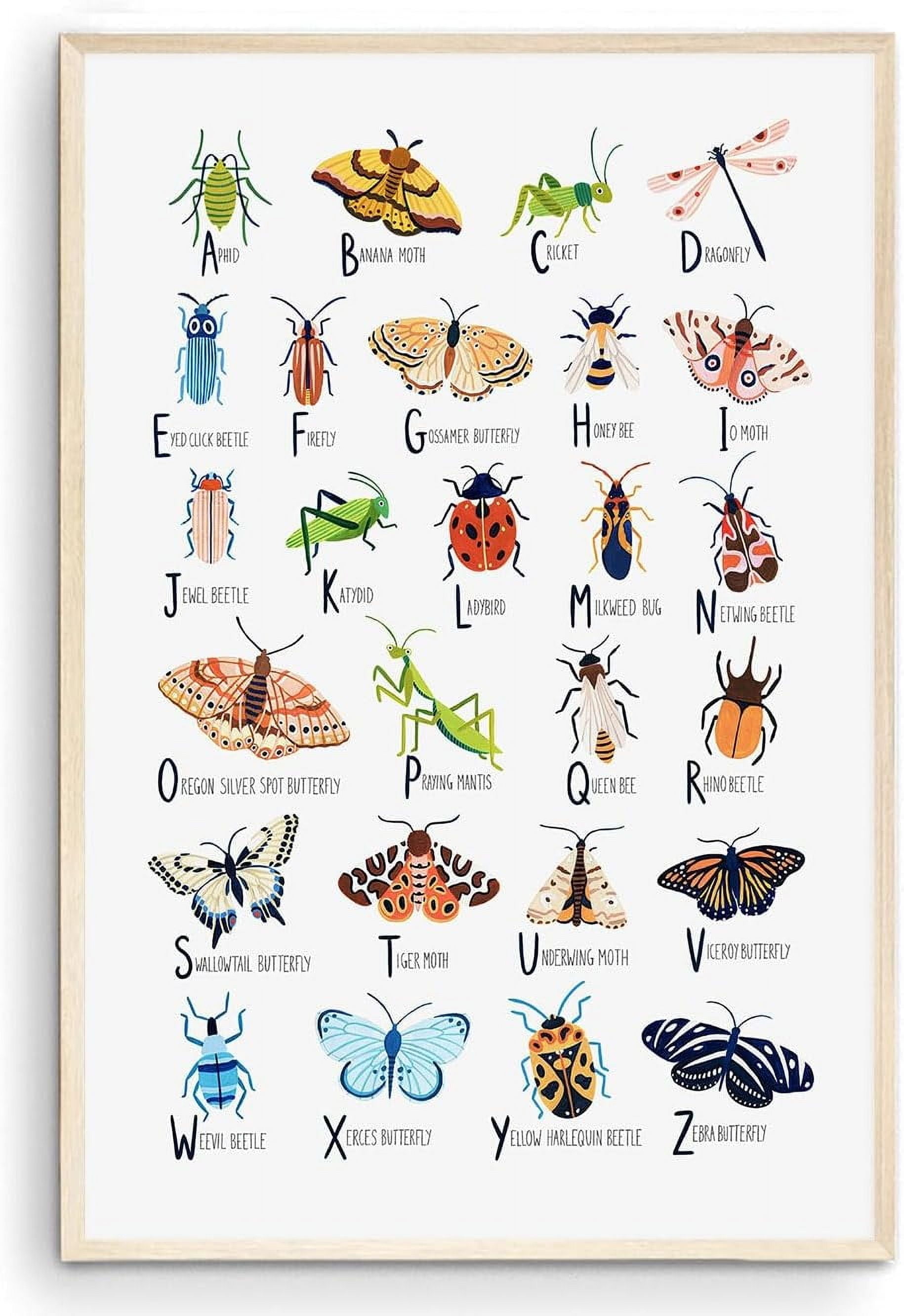 Insect Alphabet Print, Nursery Wall Art, Bugs , Kids Room Decor ...