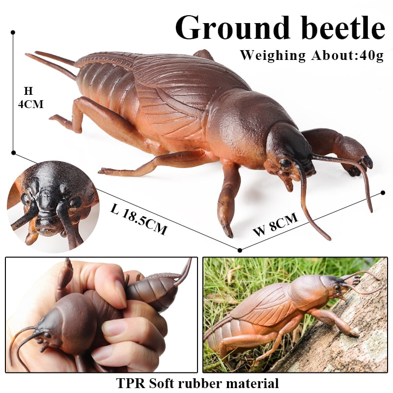 Insect Animal Wild Reptile Model Soft TPR Mantis Lizard Chameleon ...