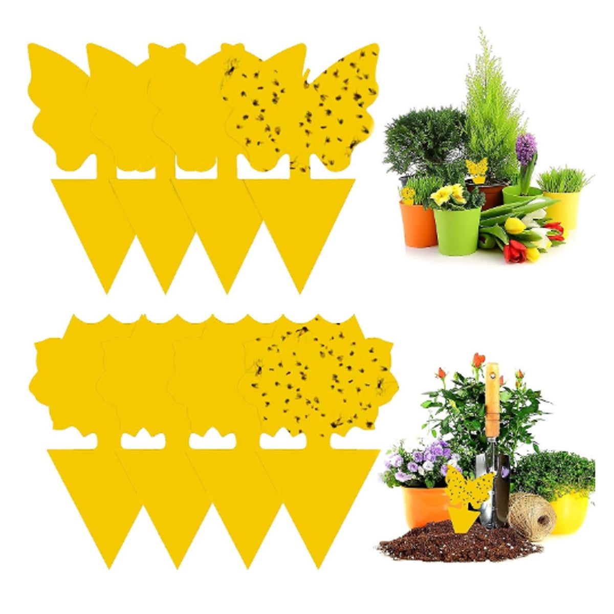 Insect Catcher Sticky Traps for Fungus Gnat, Non-Toxic Water Resistant ...