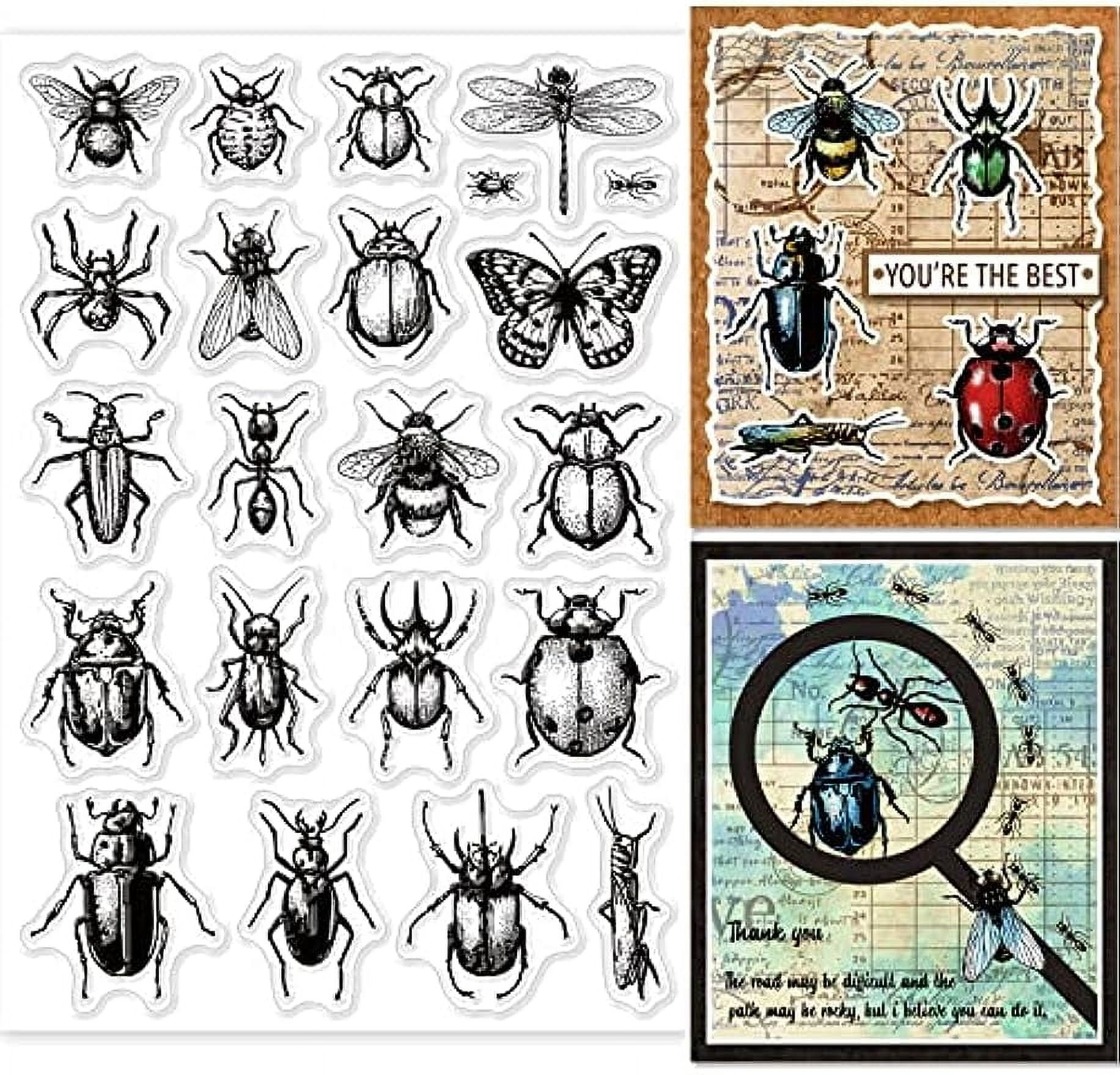 Insect Clear Stamps Silicone Clear Stamps Specimen Stamp Set for Paper ...