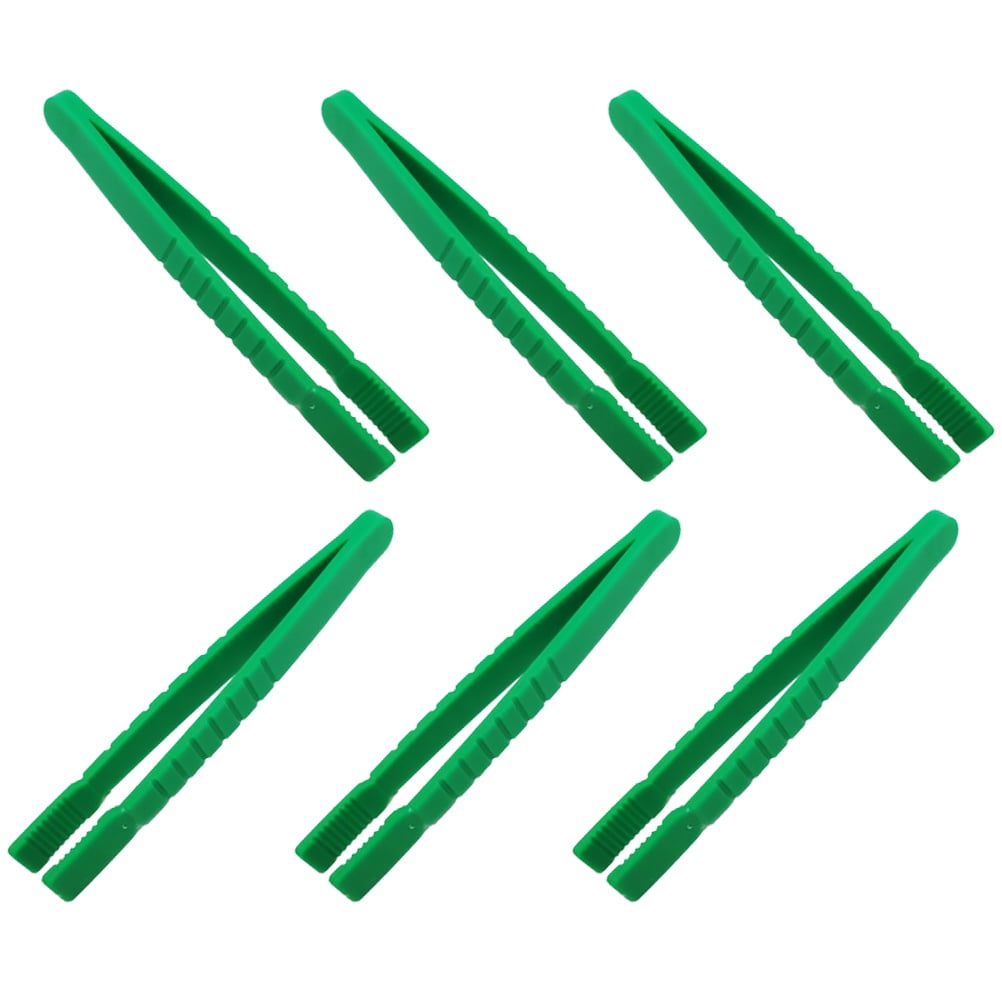 Insect Collecting Forceps Collection Tweezers Outdoor Fun to Feed Child ...