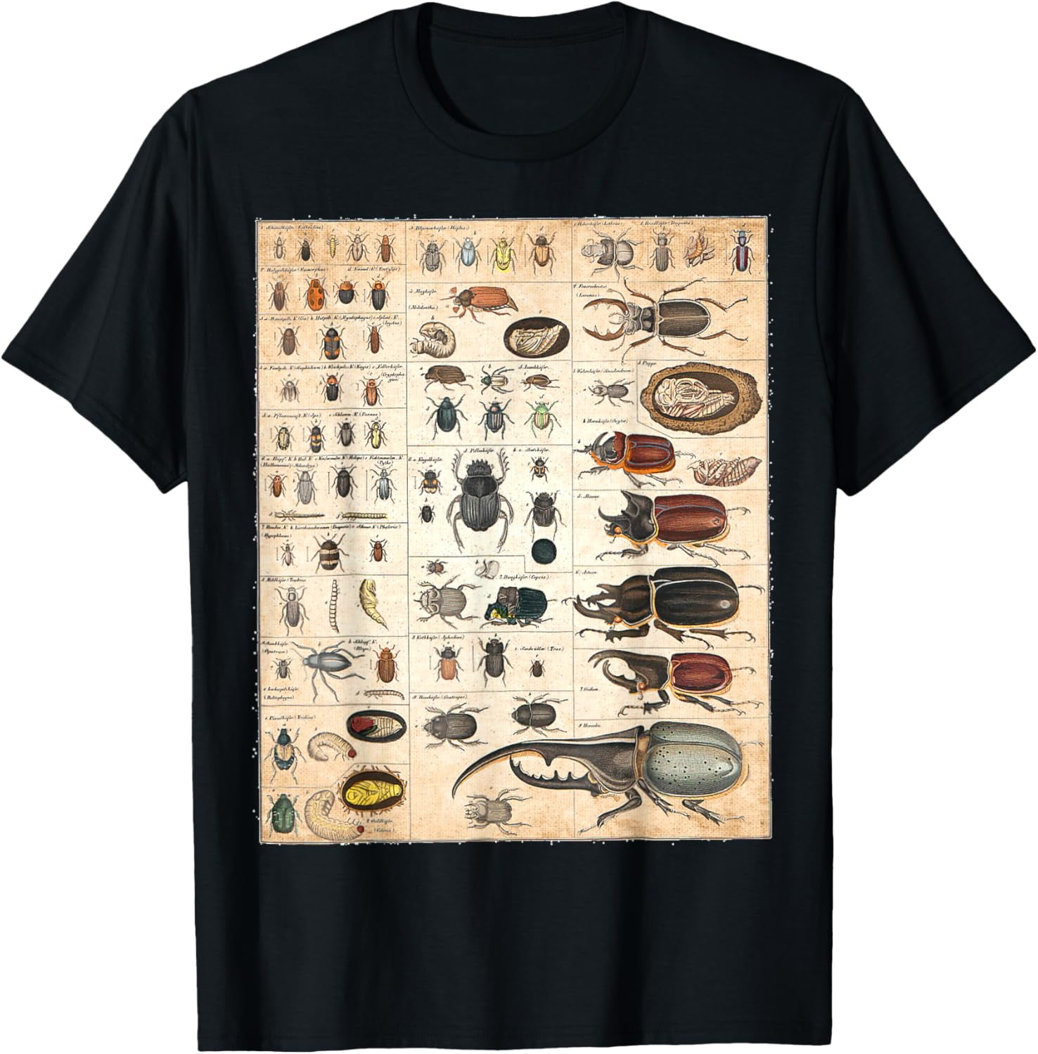 Insect Collection Chart Species Bugs Vintage Entomology T-Shirt ...