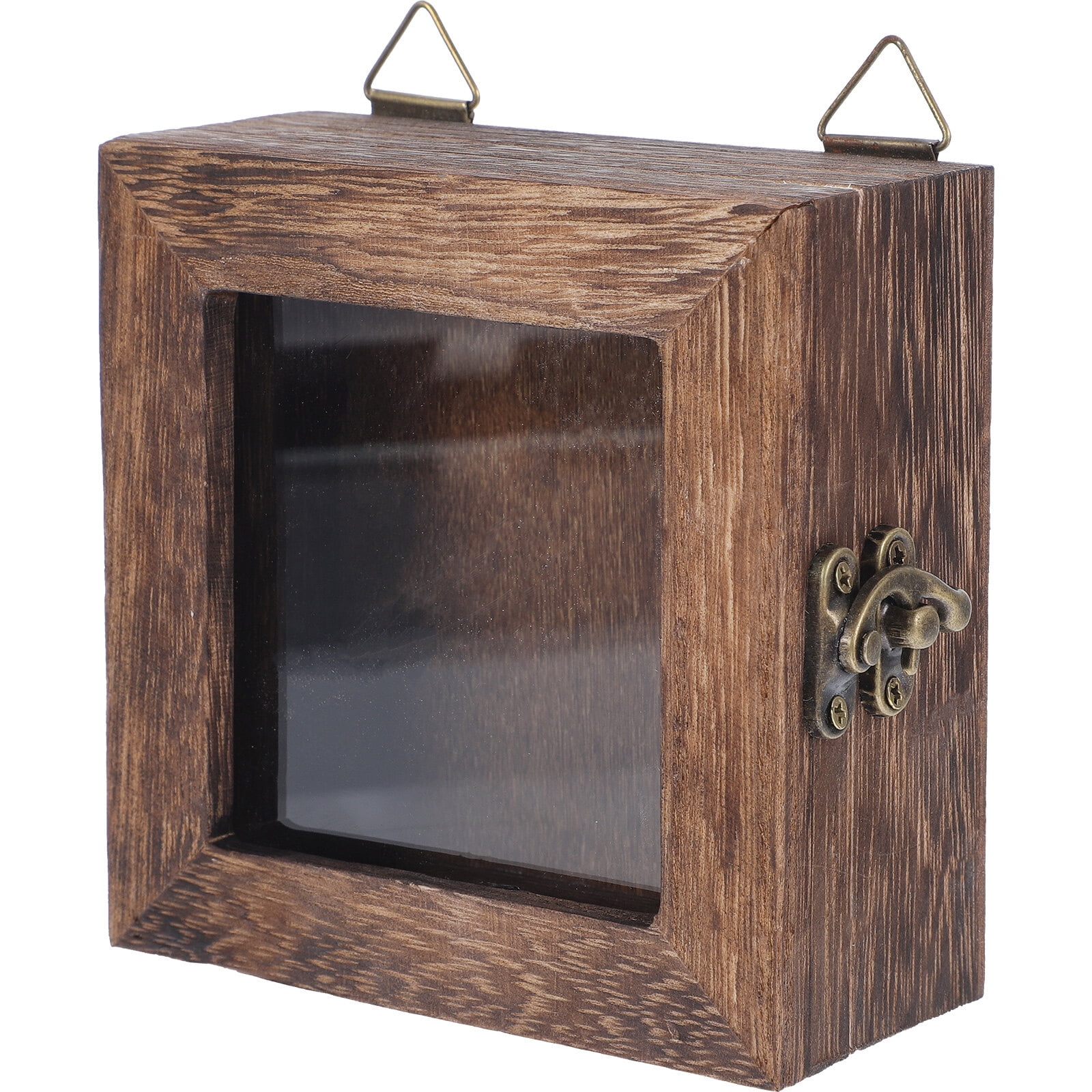 Insect Display Box Butterfly Specimen Hanging Wall Dried Flower Storage ...