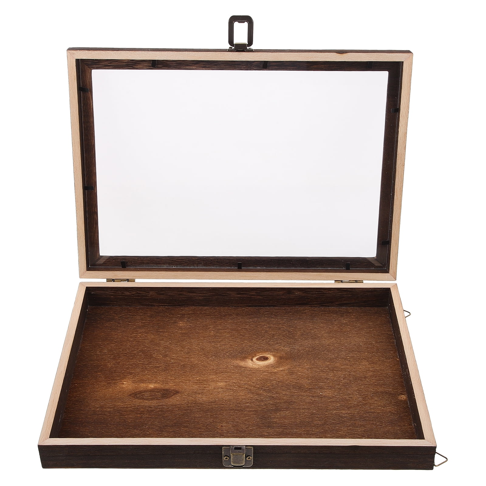 Insect Display Box Display Cabinet Display Stand Boxes for Storage ...