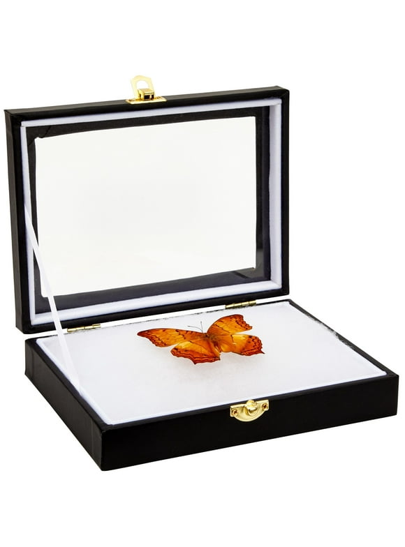 Display Cases in Store Fixtures & Equipment - Walmart.com