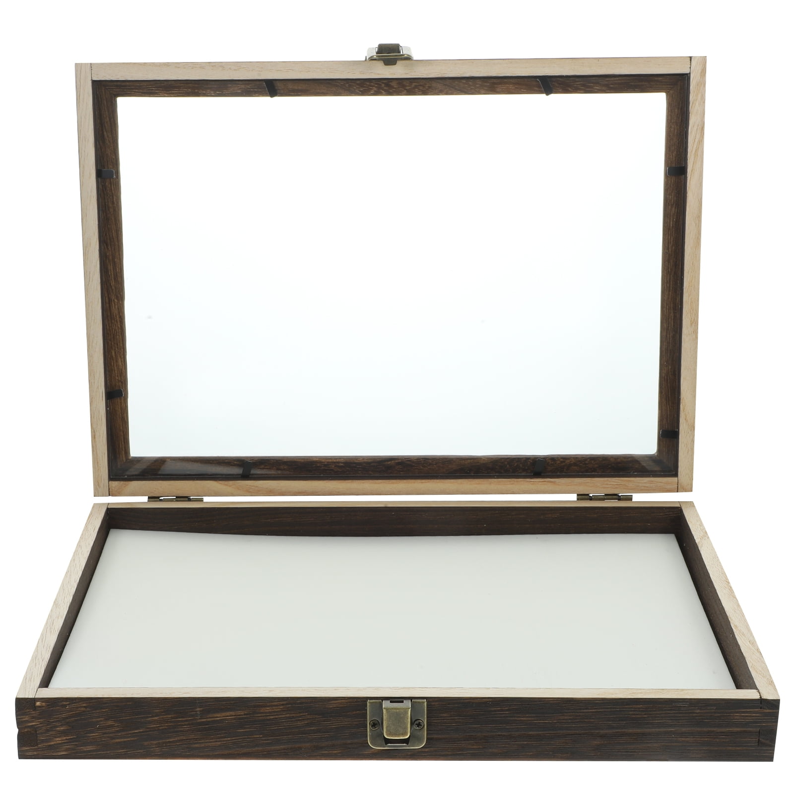 Insect Display Case Specimen Box Mounting Exhibit - Walmart.com