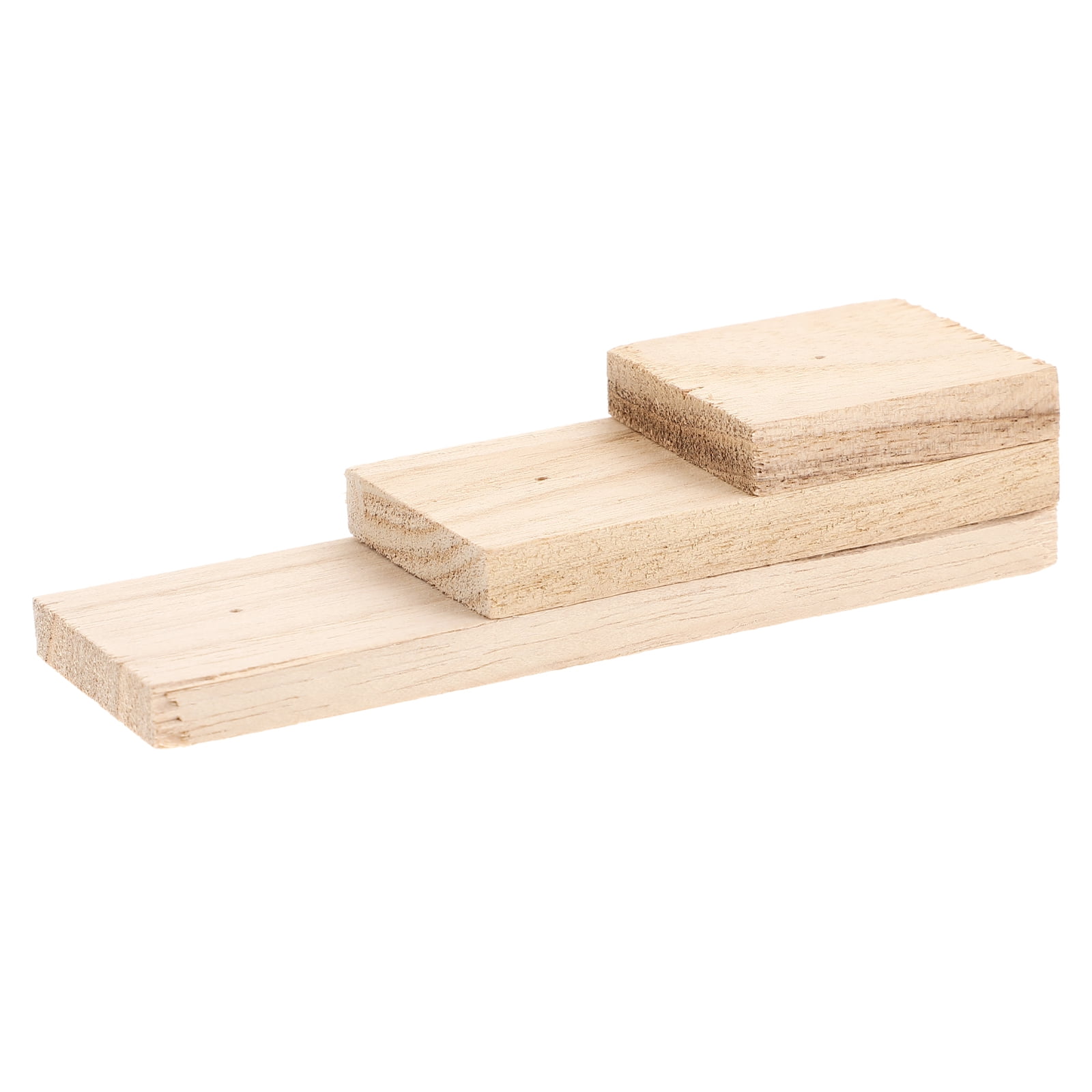 Insect Display Stand Wooden Specimen Display Block Specimen Display ...