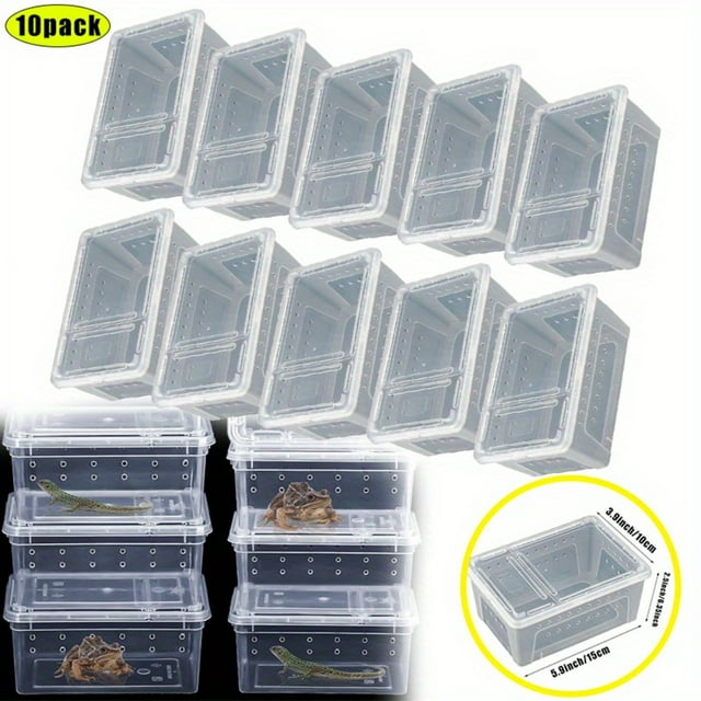 Insect Feeding Containers 10-Pack, Small Animal Breeding Boxes 5.9x3 ...