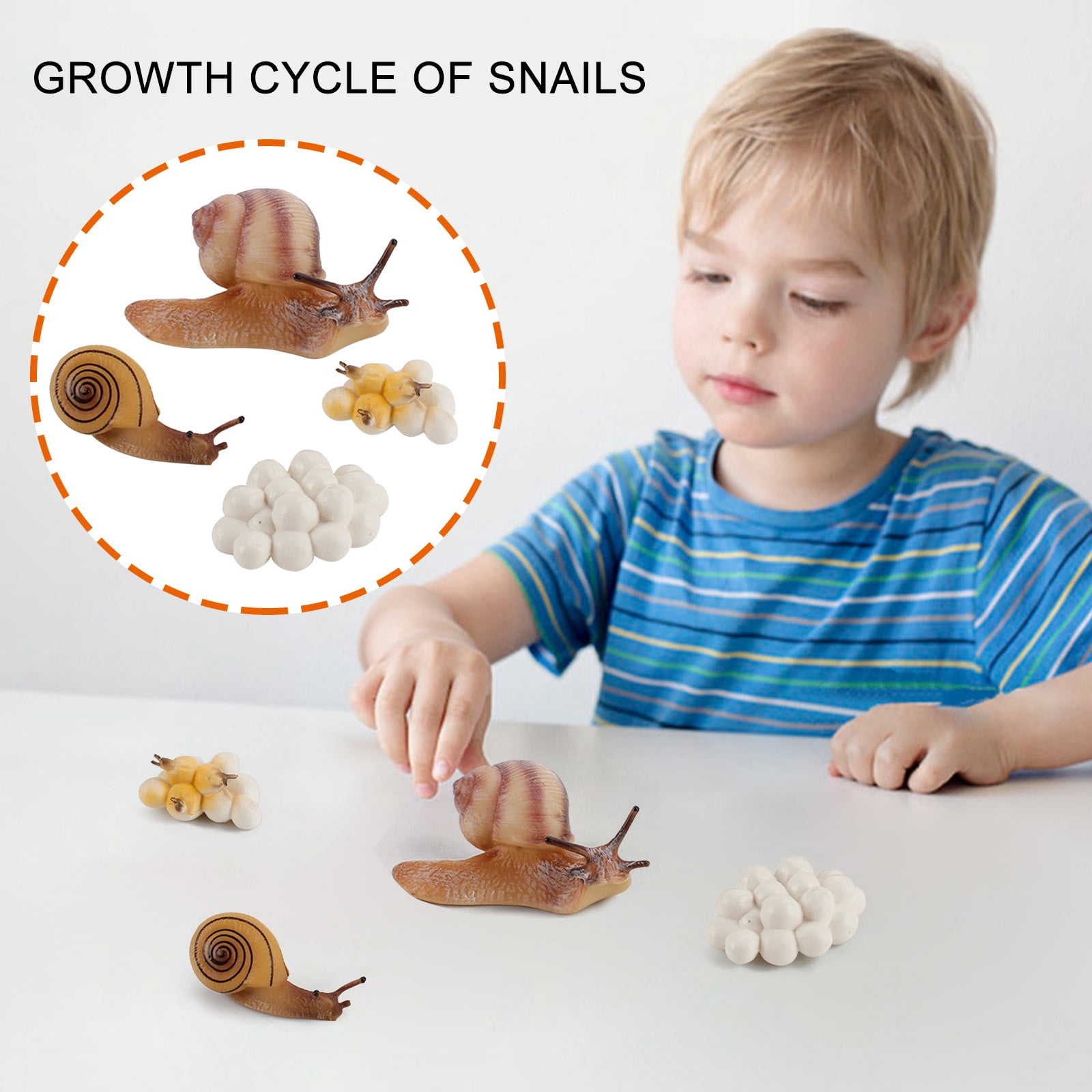 Insect Figurines Life Cycle of animal Plastic Safariology Bug Figures ...