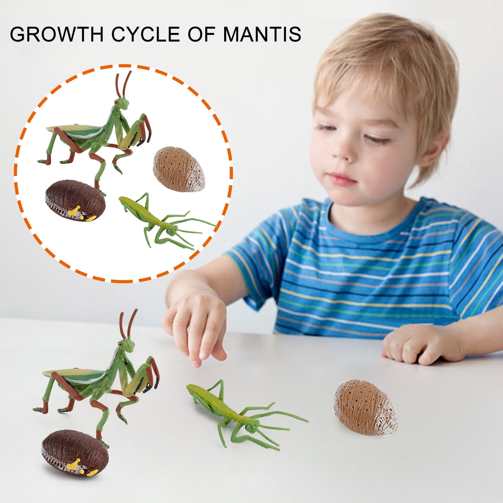 Insect Figurines Life Cycle of animal Plastic Safariology Bug Figures ...