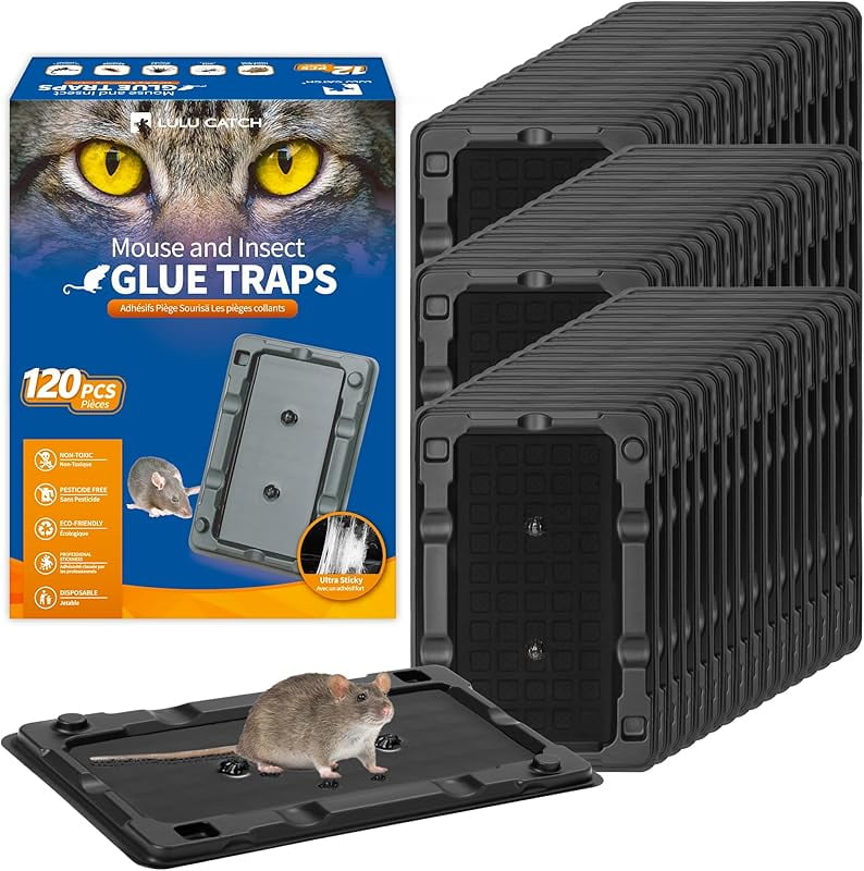 Insect Glue Traps, 120 Pack Adhesive Glue Traps, Pre-Baited Heavy Duty ...