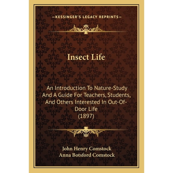 Insect Introduction