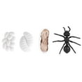Insect Life Cycle Figurines Vinyl Ant Growth Model Toy Educational ...