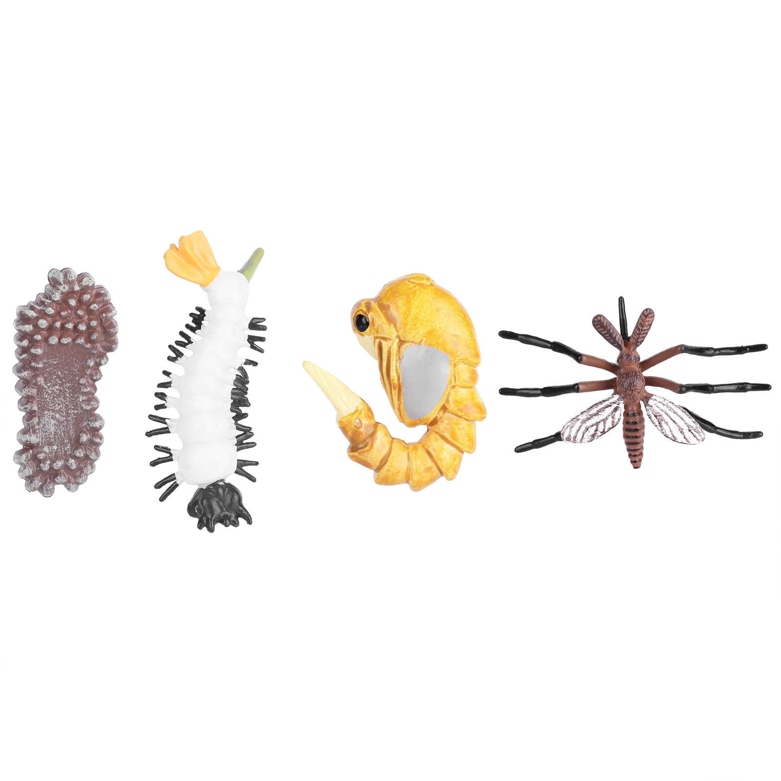 Insect Life Cycle Figurines Vinyl Ant Growth Model Toy Educational ...