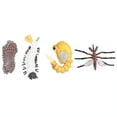 Insect Life Cycle Figurines Vinyl Ant Growth Model Toy Educational ...