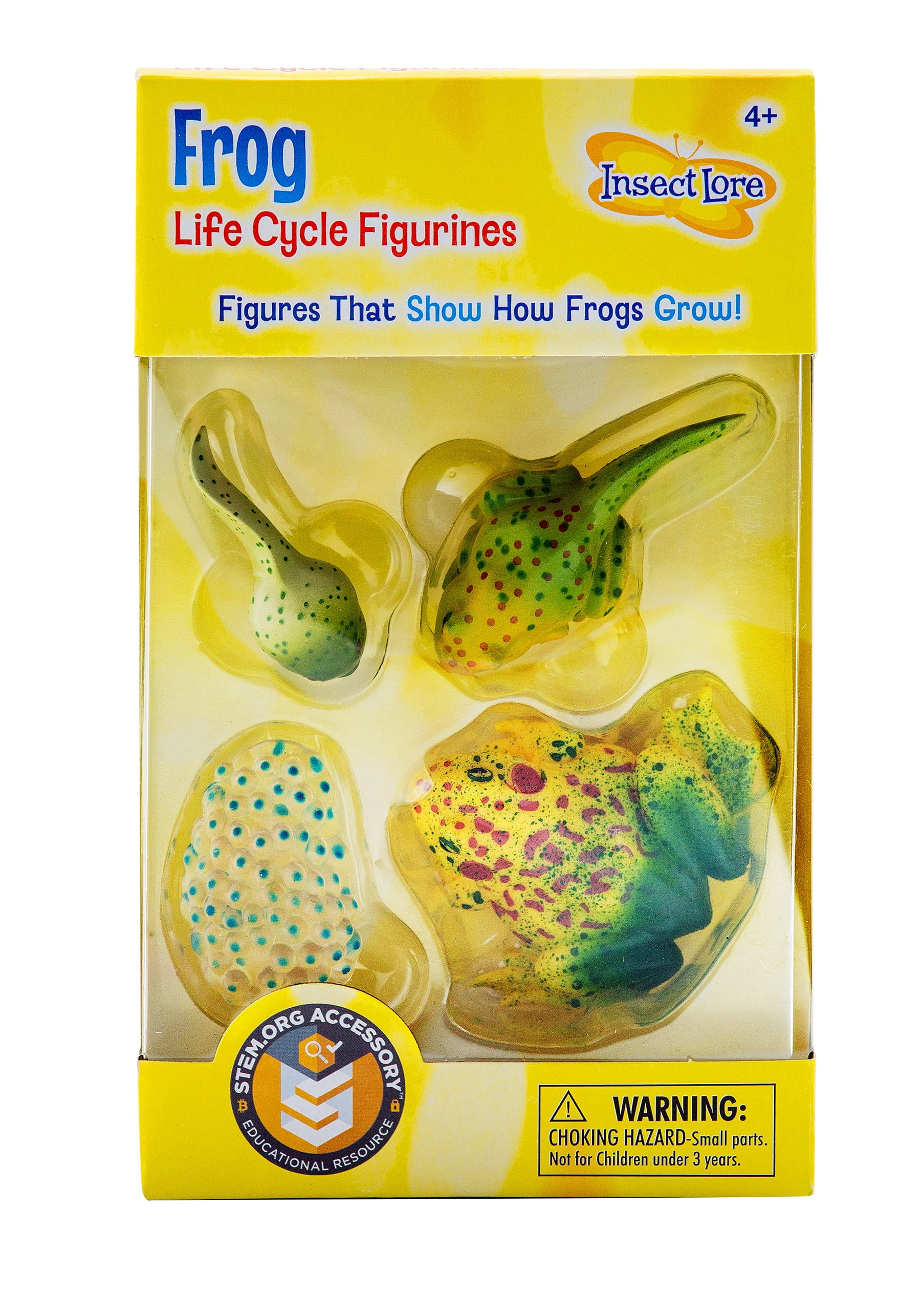 Insect Lore Frog Life Cycle Stages - Set of 4 Figures - Walmart.com