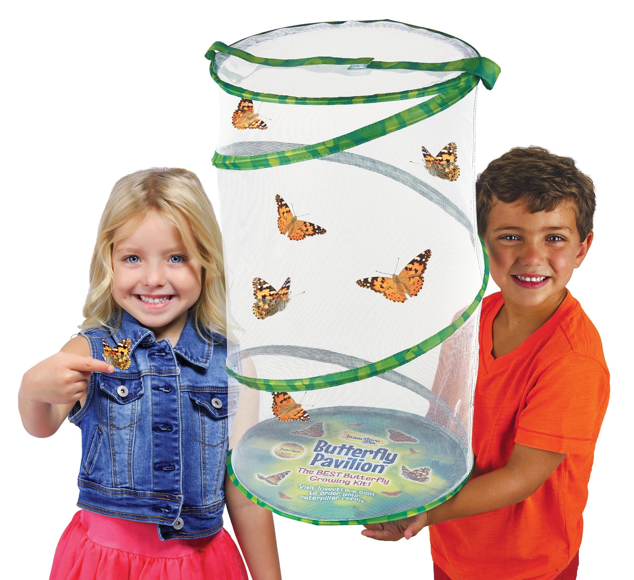 Insect Lore Giant Butterfly AIF9 Garden with Voucher | 18 Inch Habitat ...