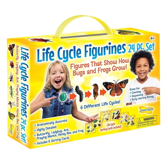 Insect Lore Life Cycle Figurines 24 Pc Set, Insects & 4 Stages ...