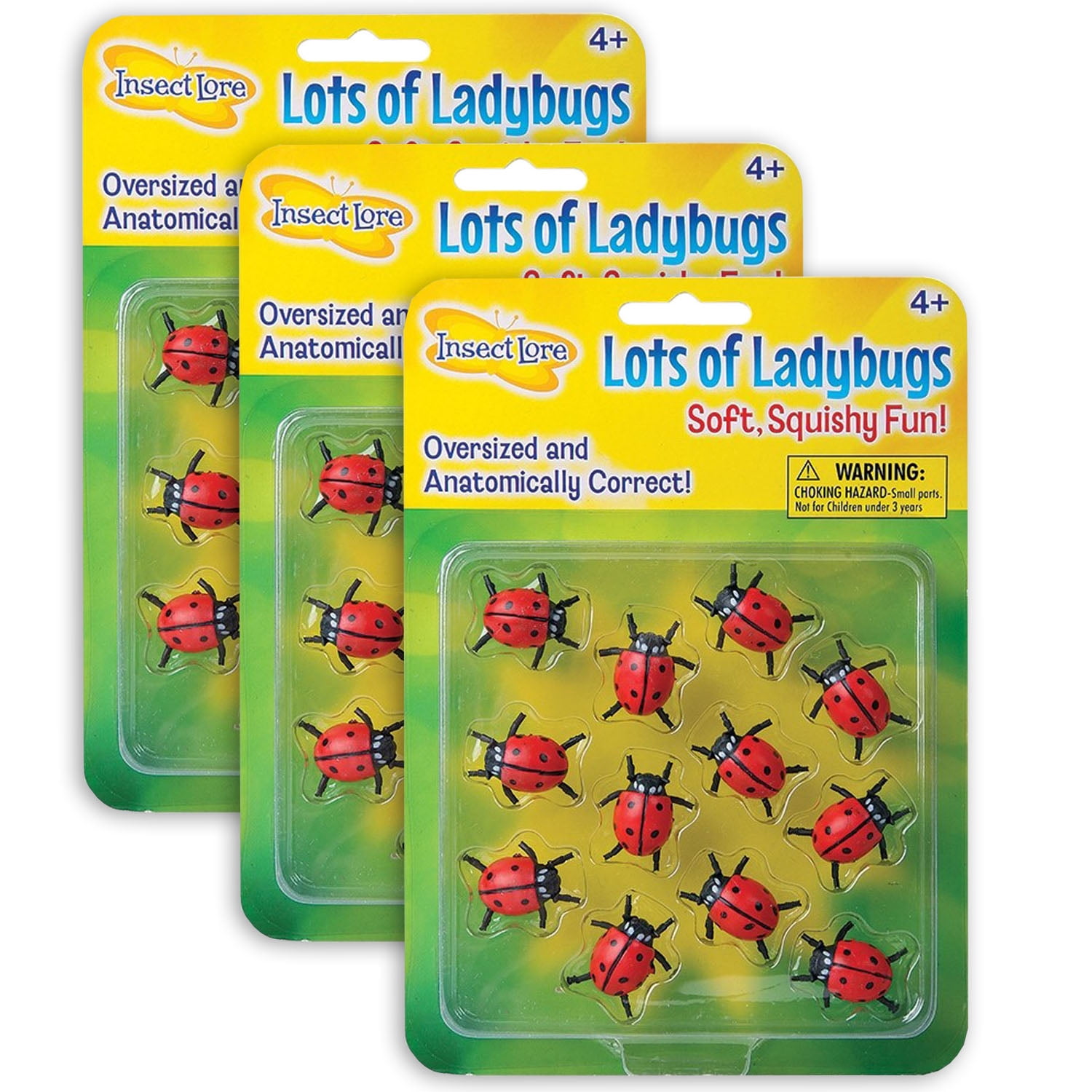 Insect Lore Ladybugs