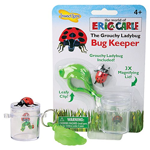 Insect Lore The Grouchy Ladybug 2-Piece Bug Keeper Kit, Green, Pre-K to ...