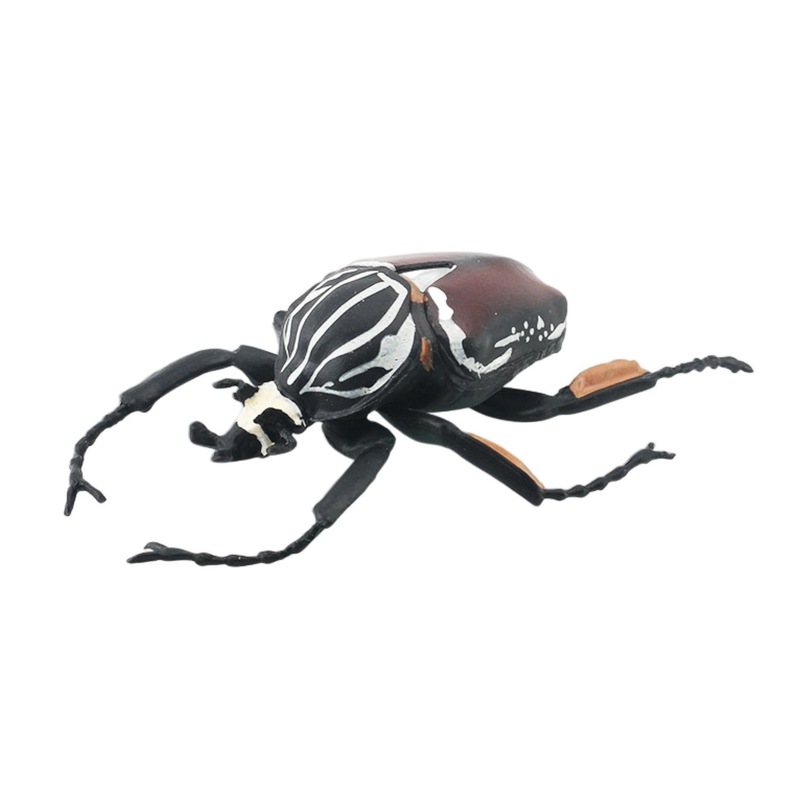 Insect Model Vivid Look Grasshopper Dragonfly Frog Miniature Figurine ...