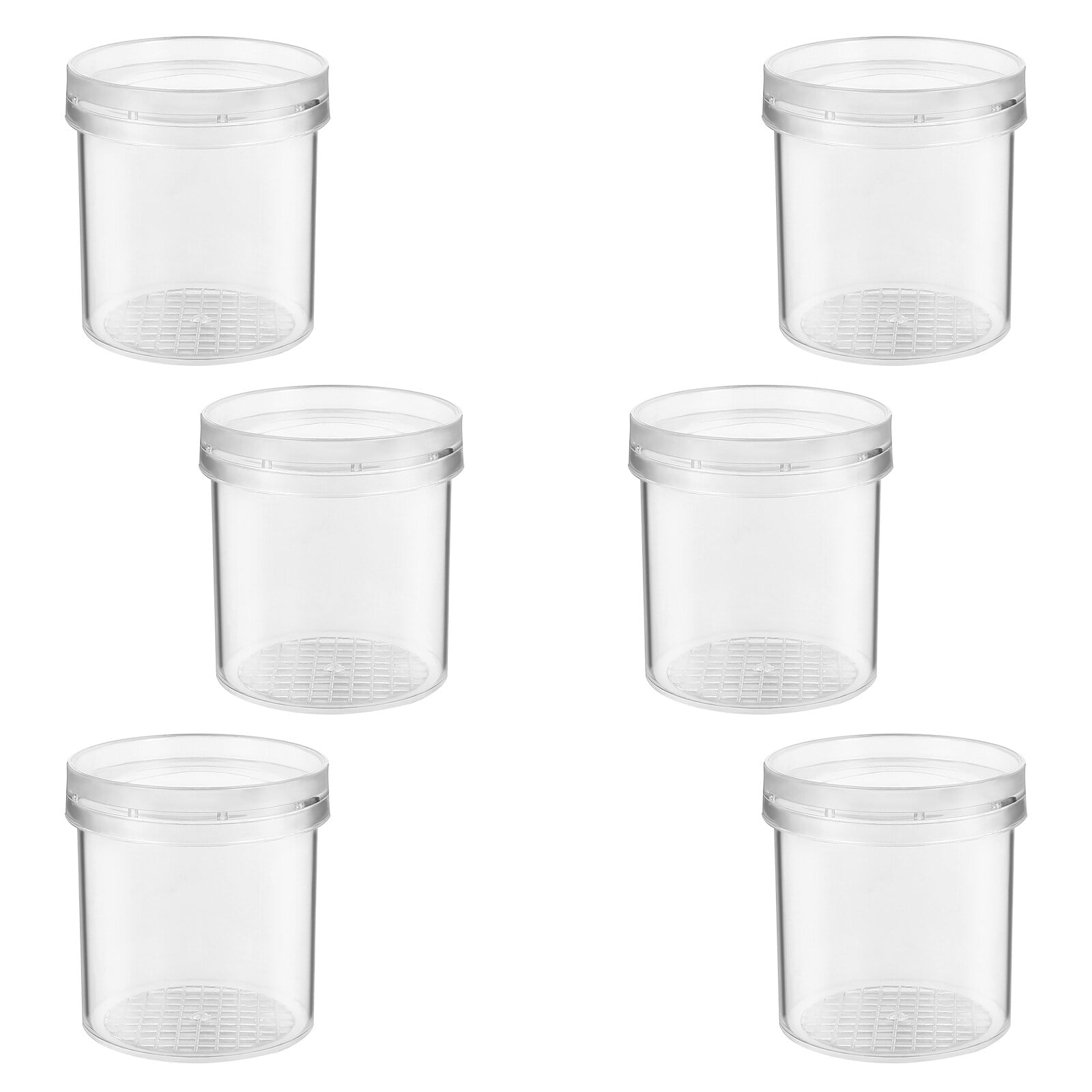 Insect Observation Cup Magnifying Cup Insect Science Tools Insect ...