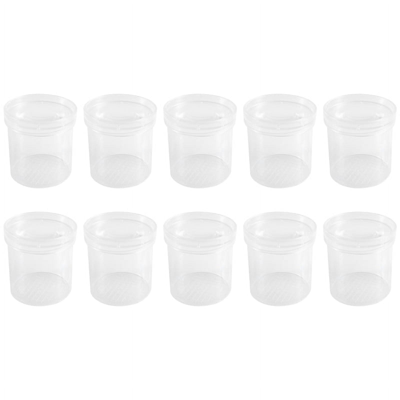 Insect Observation Cup Magnifying Glass Feeding Box Teaching Instrument ...
