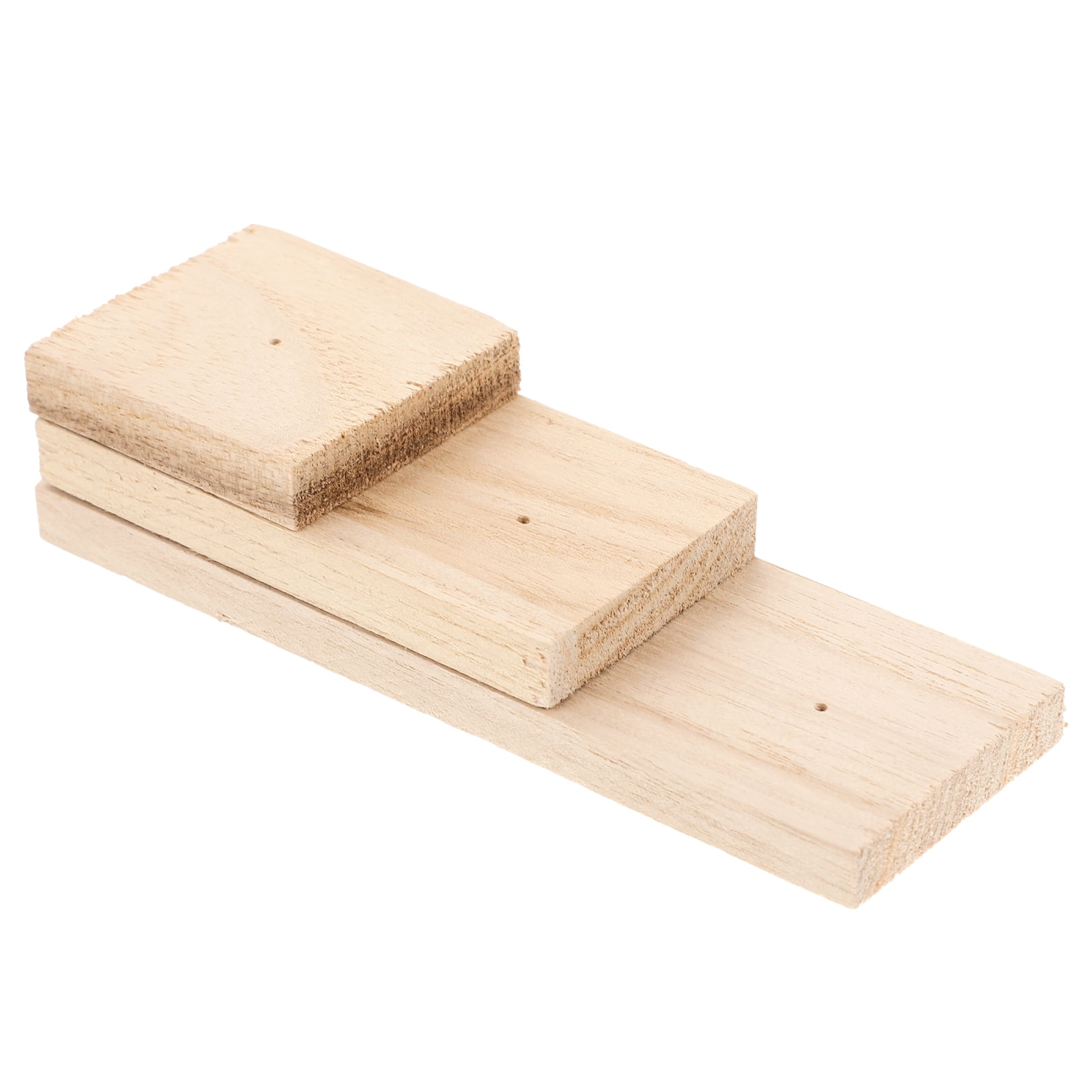 Insect Pinning Block Insect Specimen Display Stand Insect Display ...