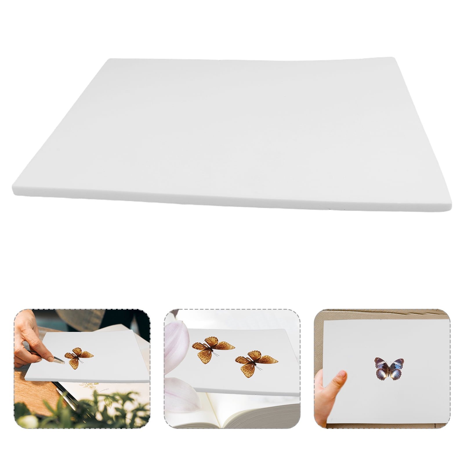 Insect Pinning Board Specimen Display Board Foam Labs Boards Butterfly ...