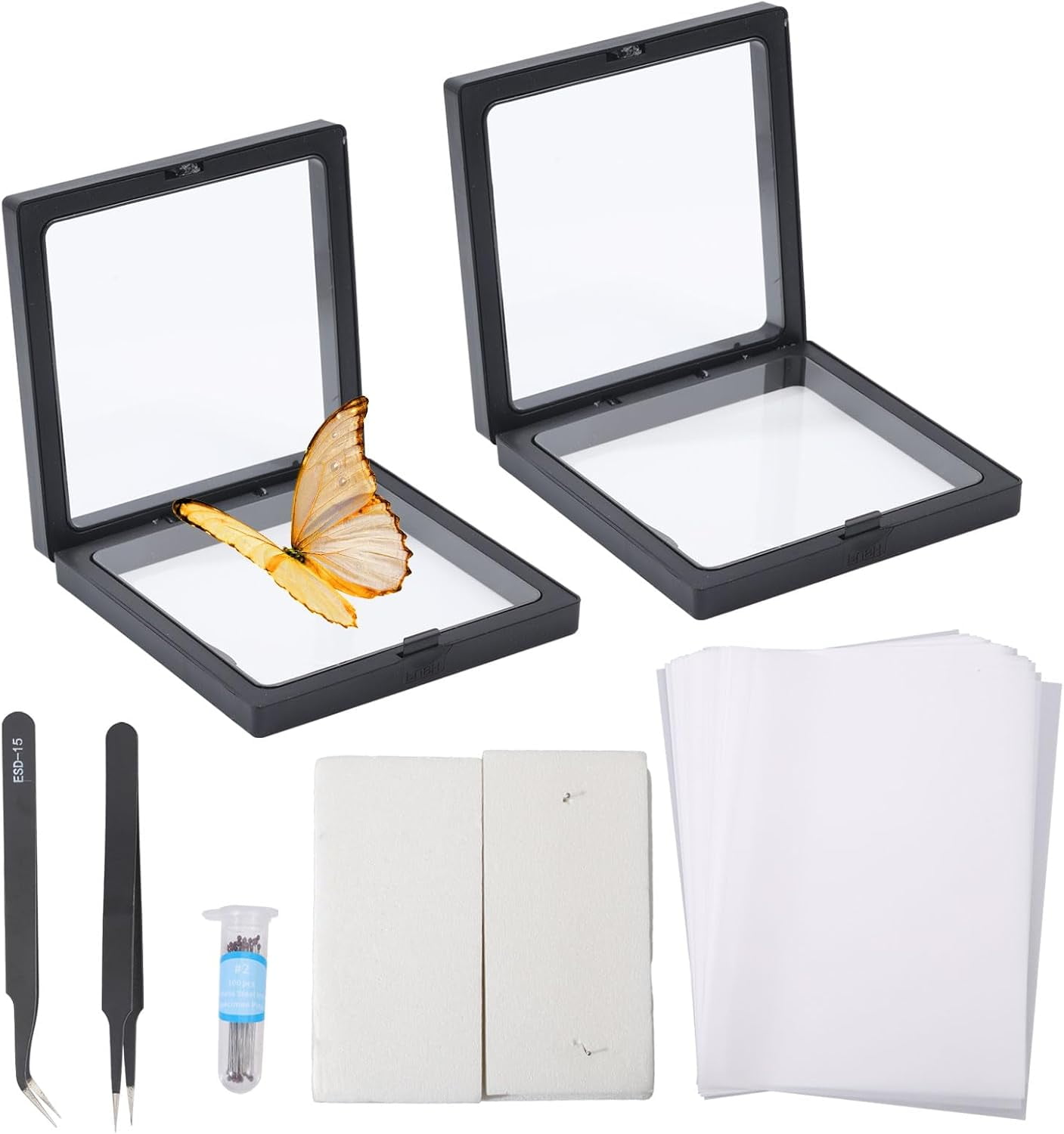 Insect Pinning Kit 2pcs Square Insect Collection Box Set with 1 Sheet ...