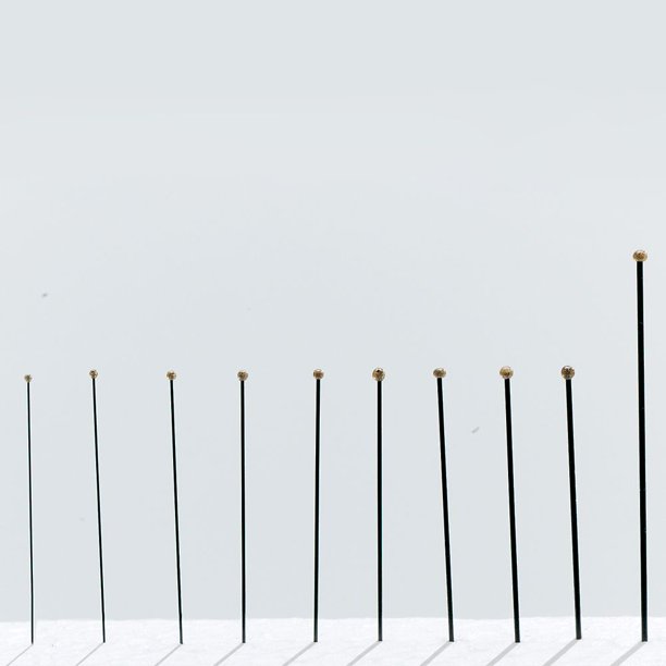 Insect Pins, Black Steel, Size 1, Pack Of 100 - Walmart Business Supplies