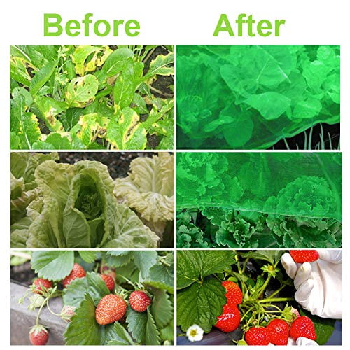 Insect Protection Netting, Garden Vegetable Protective Mesh Net Plant ...