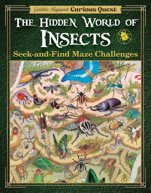 Insect Seek-And-Find Maze Challenge: 12 Absolutely Amazing Learn & Play ...