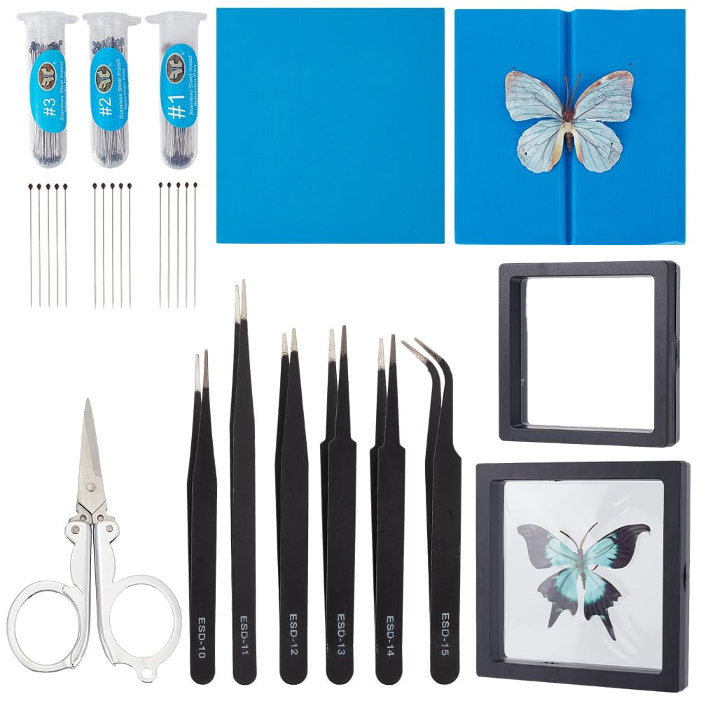 Insect Specimen Tools Kit Butterfly Specimen Tools Insect Pins Insect ...