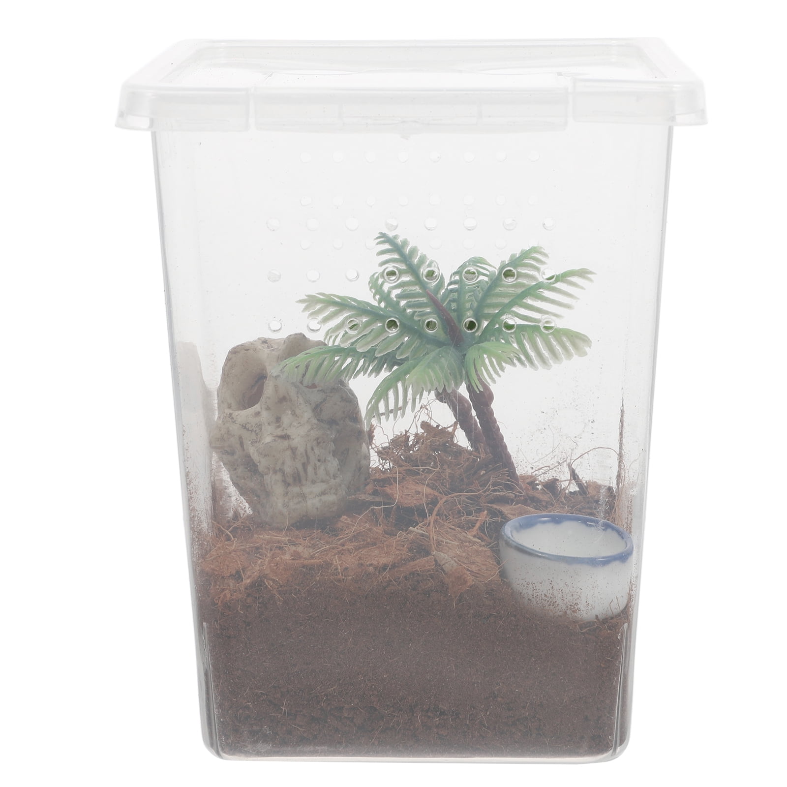 Insect Spider Terrariums Lizard Animals Children's Toys Outdoor ...