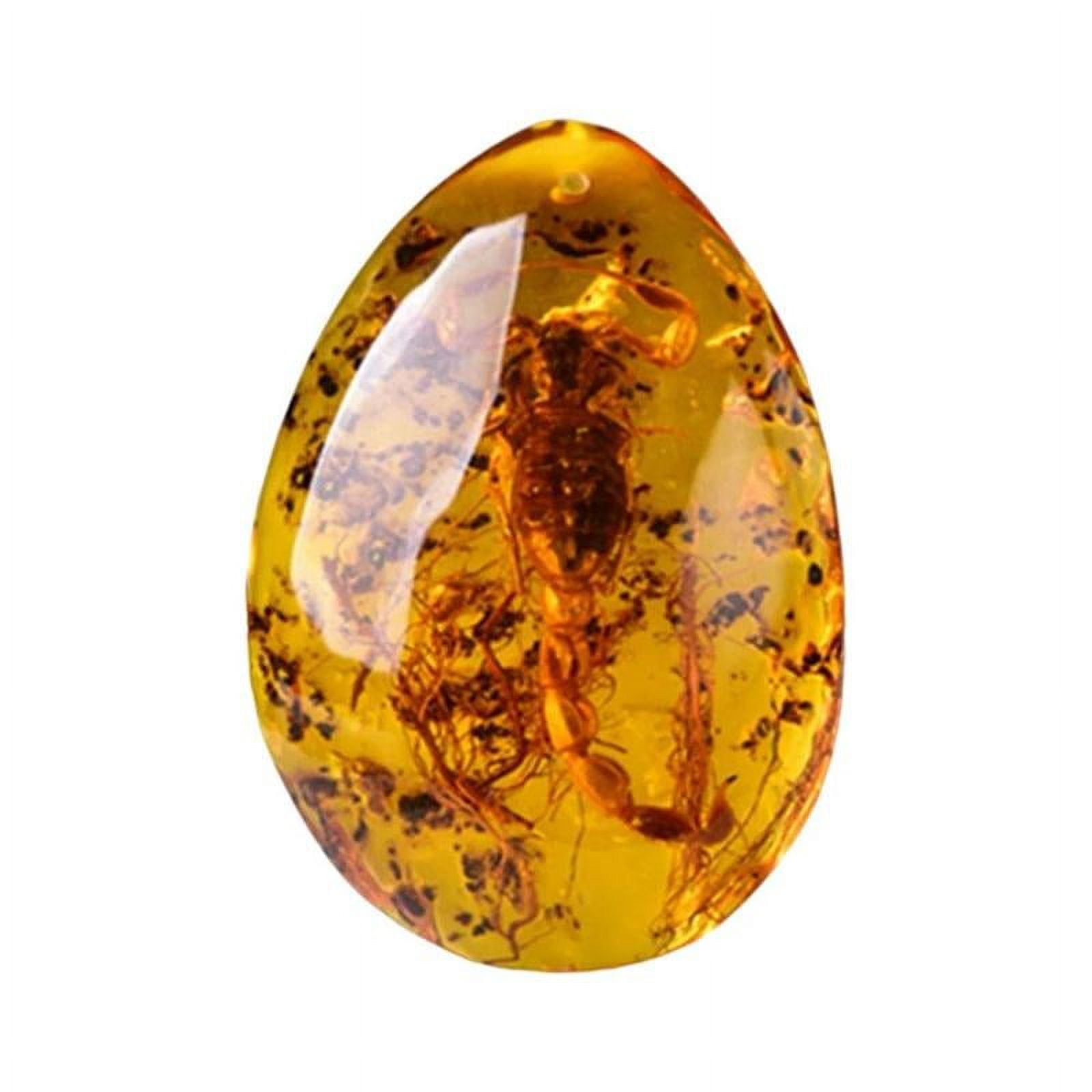 Insect Stone Scorpions Inclusion Amber Resin Baltic UK Decor Natural ...