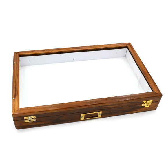 Insect Storage Box - Polished Wood- Eisco Labs - Walmart.com