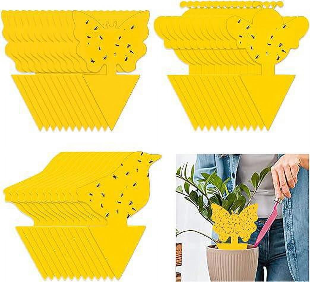 Insect Traps, 36Pcs Yellow Stickers Fly Trap, Double Sided Sticky Traps ...