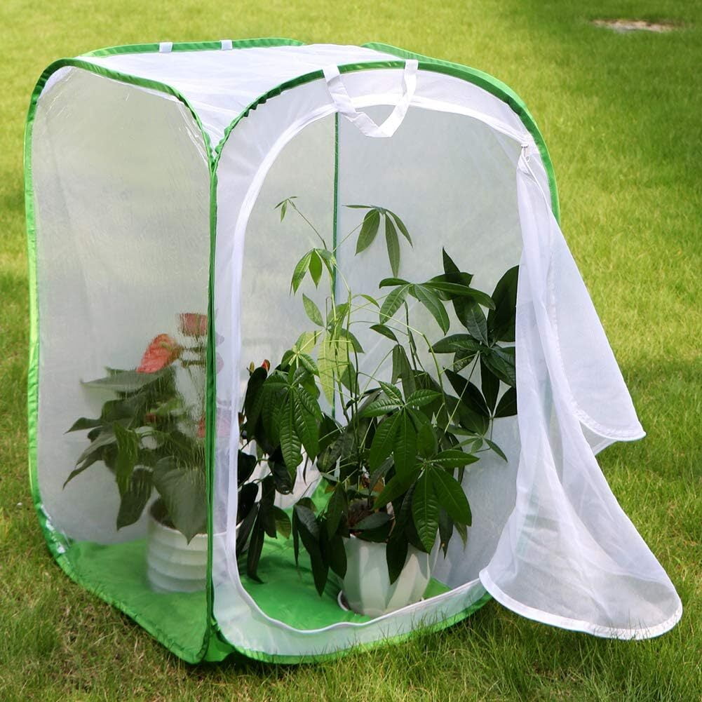 Insect and Butterfly Habitat, Cage Mesh Pop-up 24 Inches Tall Polyester ...