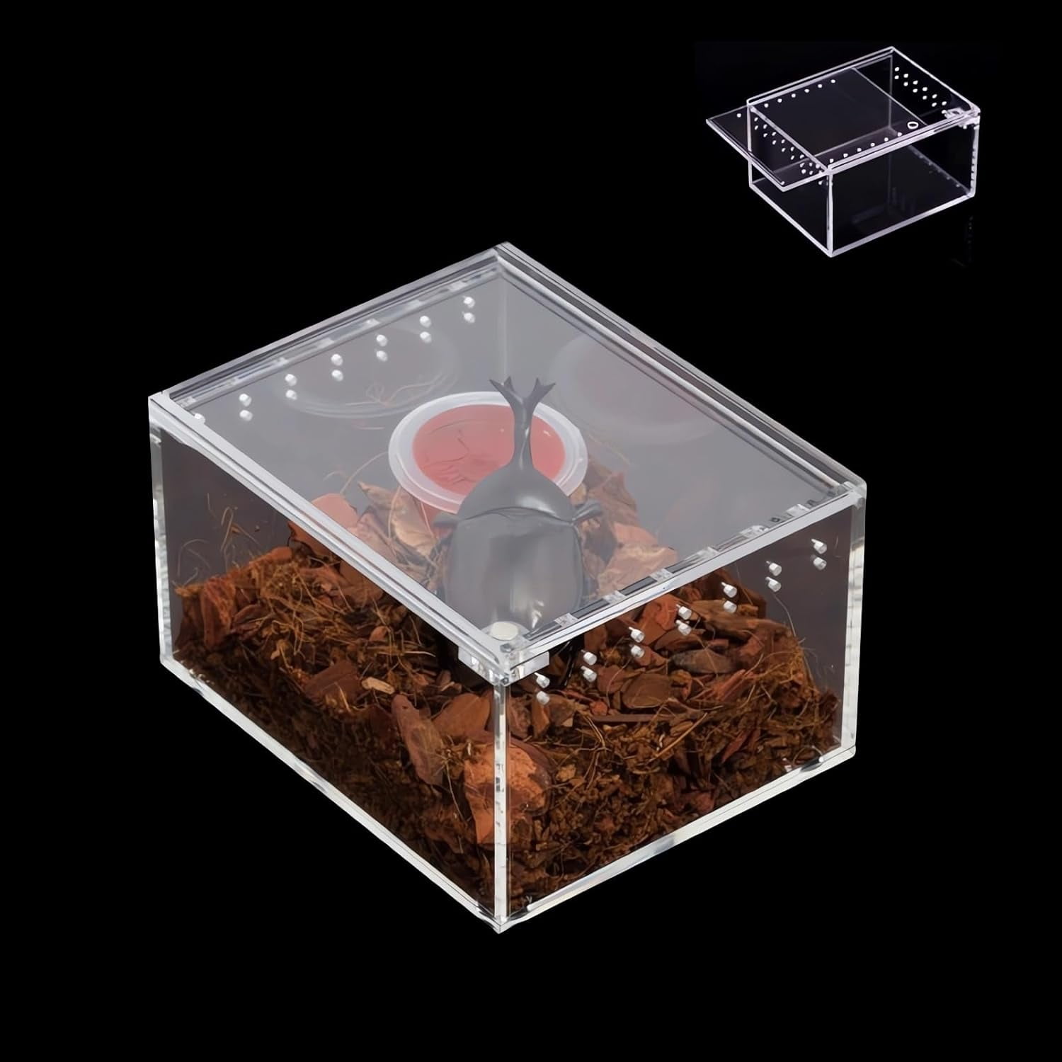 Insect breeding Box Reptile Feeding Box, Waterproof Enclosure Enclosure ...