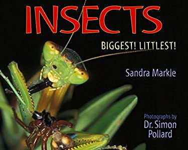 Pre-Owned Insects: Biggest! Littlest! (Hardcover) 1590785126 9781590785126 - Walmart.com
