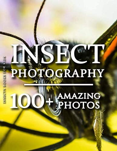 Pre-Owned Insects Books For Kids - Insect Photography: 100+ Amazing ...